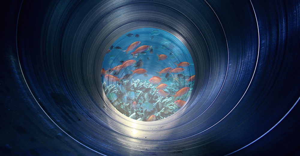 Puhastusained ja desinfektandid - Baitel